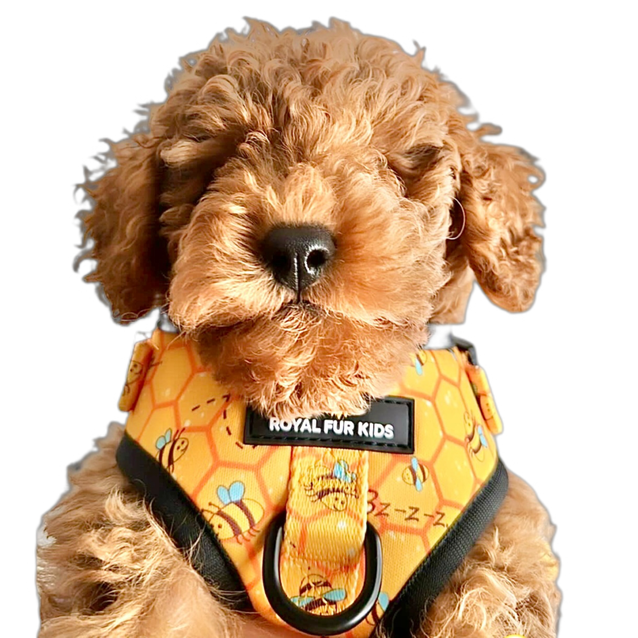 Bee Harness