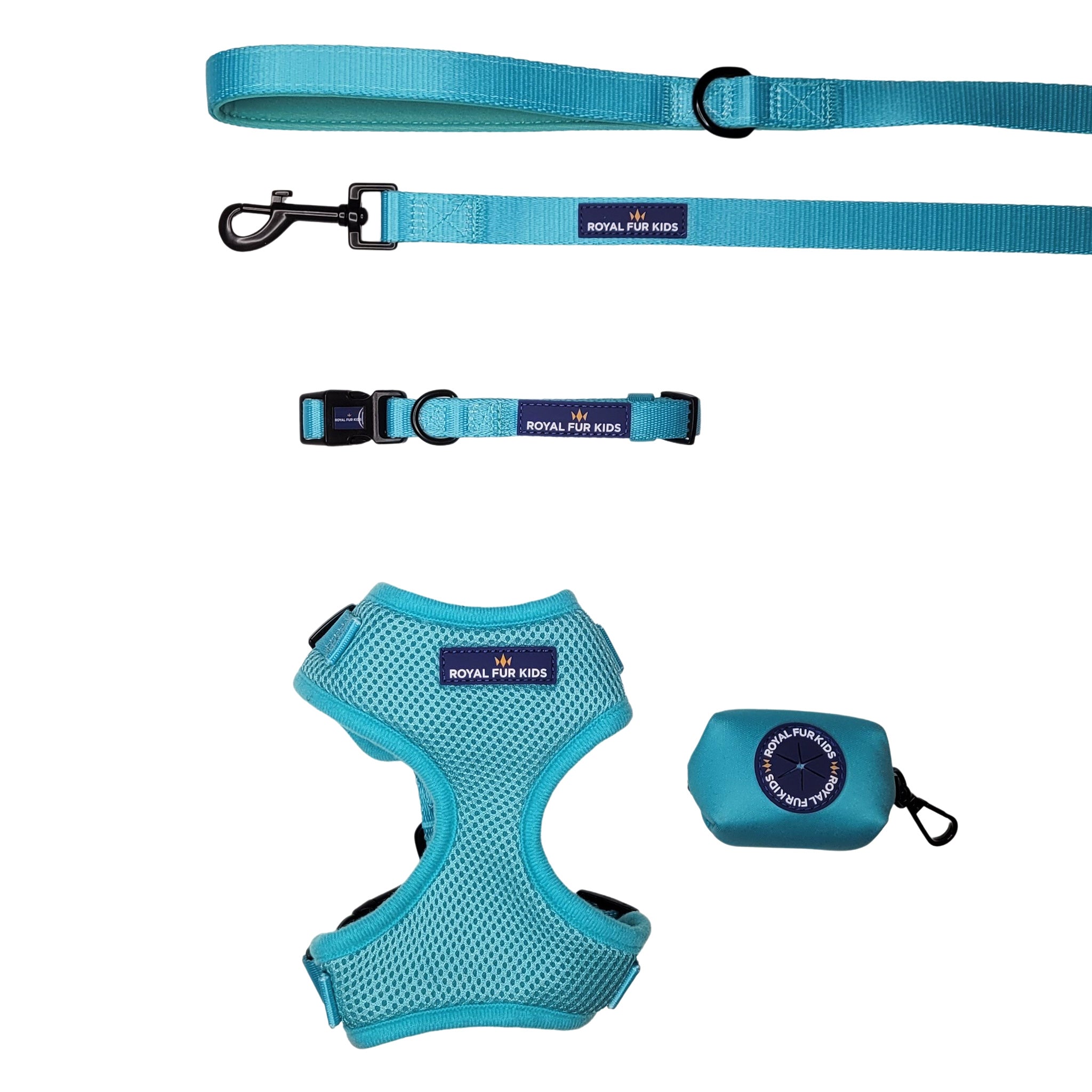 Turquoise Harness - Full Set